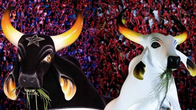 4 Festas do Amazonas Populares que Você Precisa Conhecer