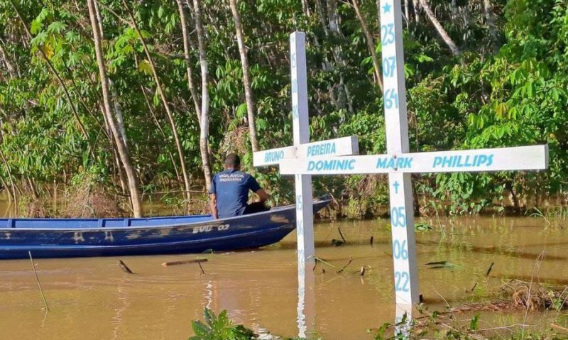 ONG diz que 22% das mortes de ativistas ocorrem na Amazônia