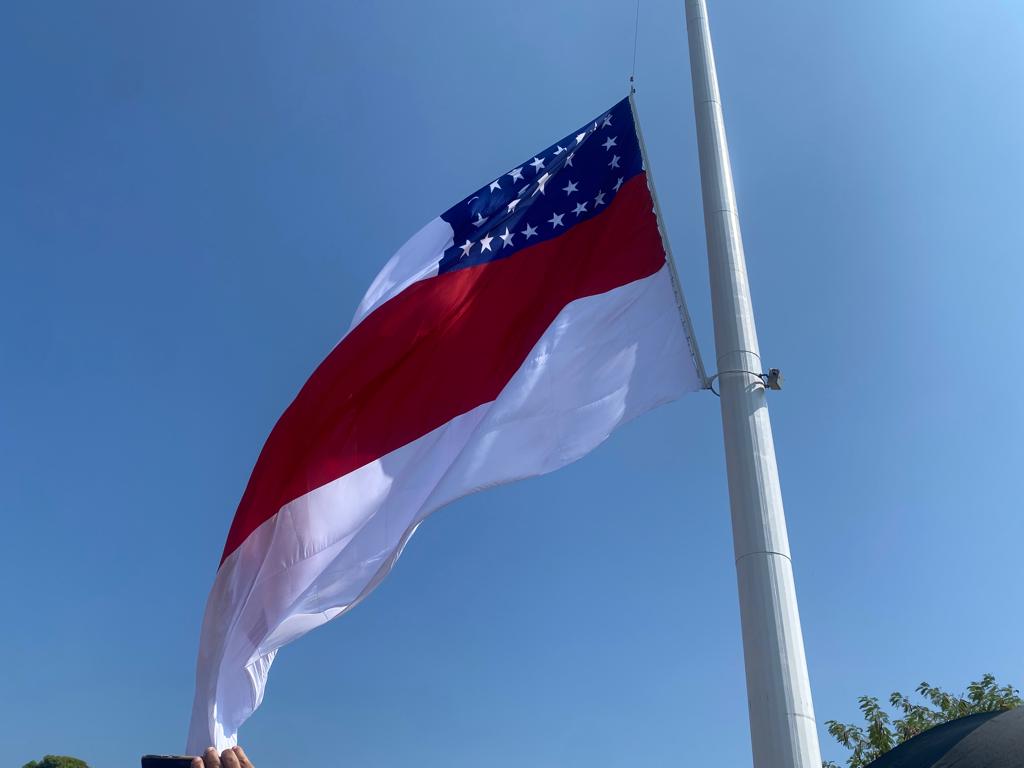 Bandeira do Amazonas: Descubra seu significado na história do estado