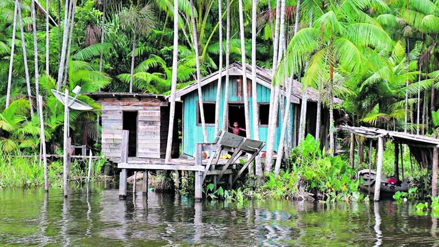 Ribeirinhos no AM: conheça os protetores da floresta amazônica